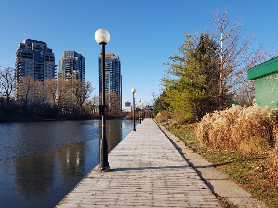 Waterloo’s first urban forest management strategy in the works