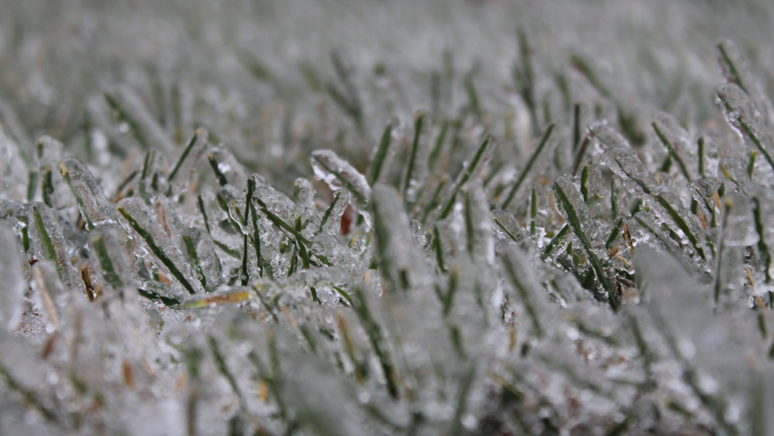 Waterloo Region could be spared from freezing rain this weekend
