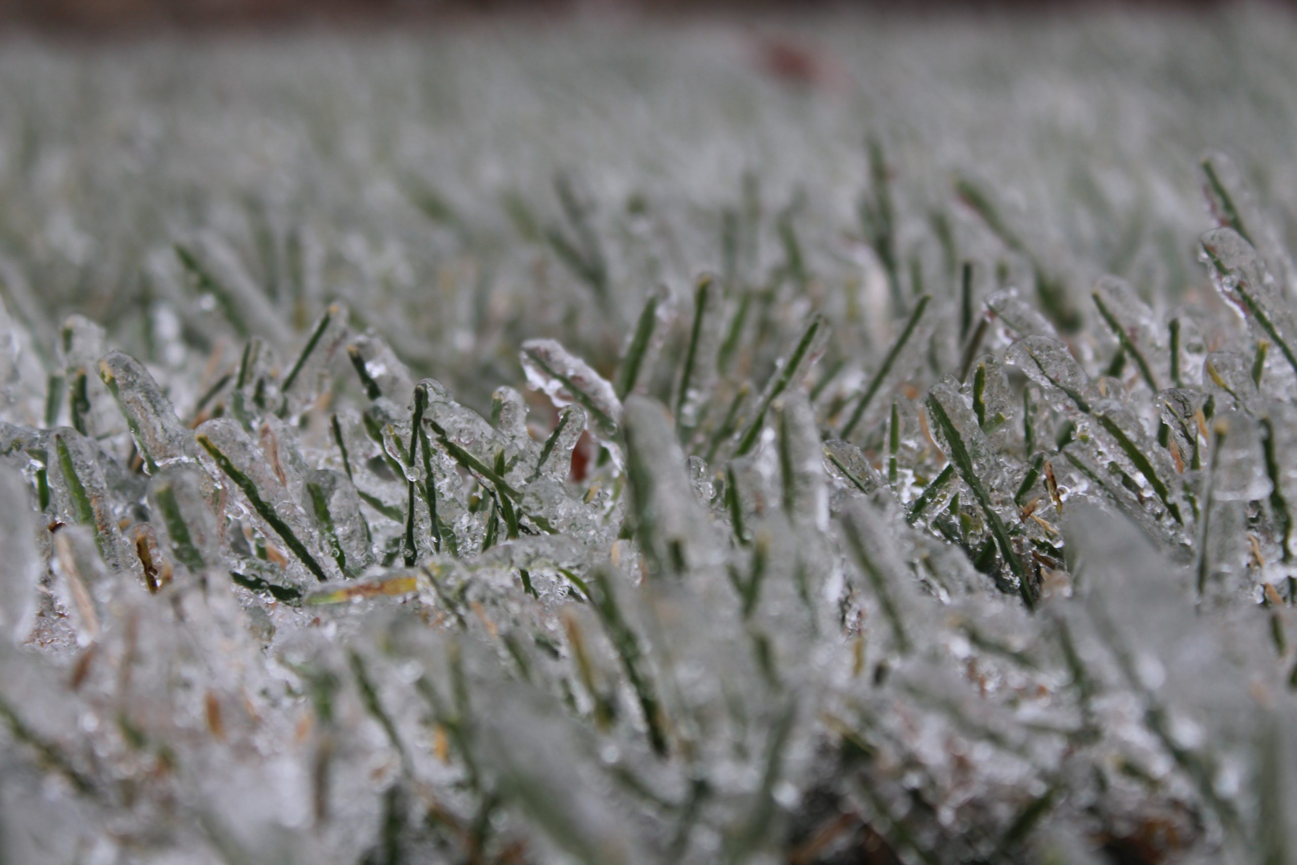 Freezing rain warning lifted for Waterloo Region