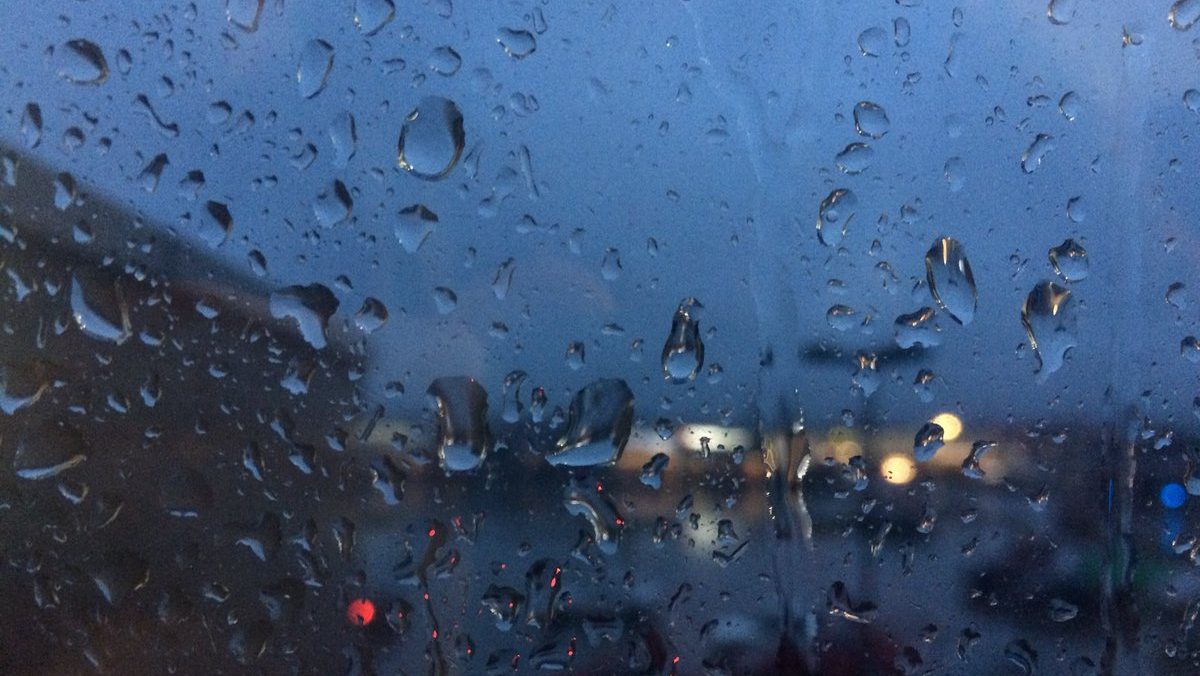 Kitchener, ON weather | CityNews Kitchener