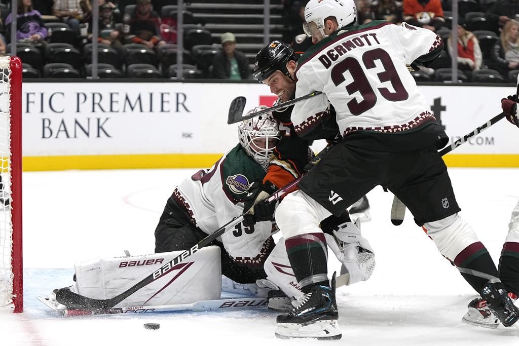 Coyotes' Travis Dermott on using Pride tape, forcing NHL's hand: 'Had ...