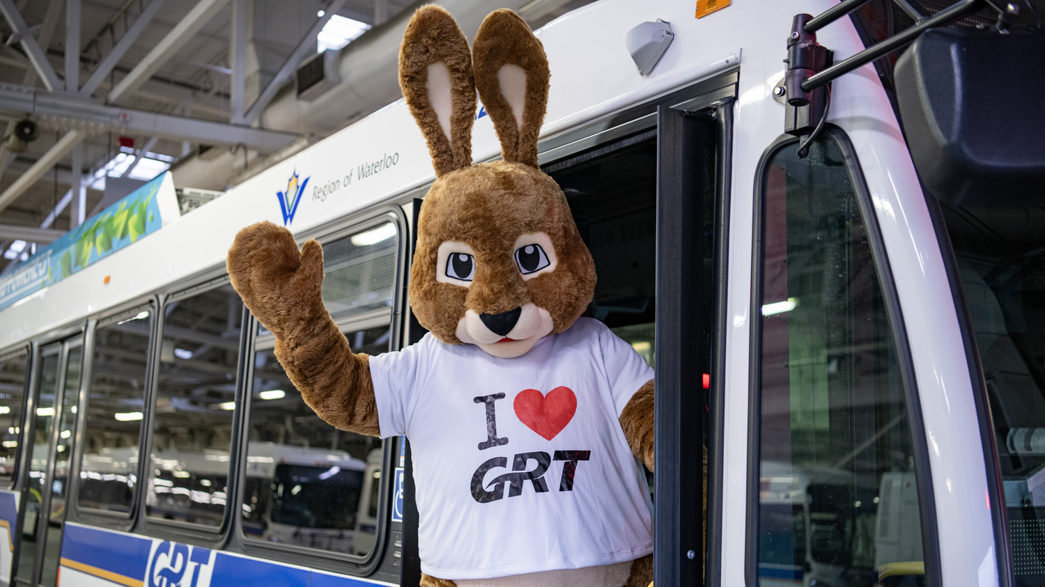 GRT names Ryder the bunny as official mascot