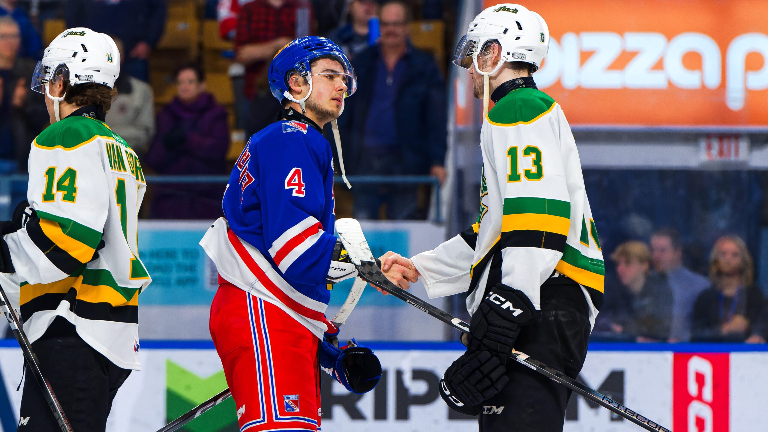 Kitchener Knights out of the OHL playoffs