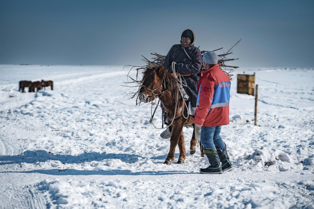Heavy snows and drought of deadly 'dzud' kill more than 7 million head ...