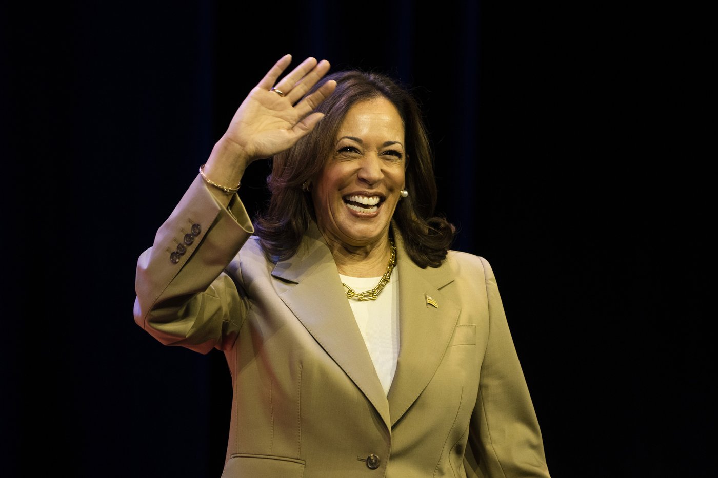 Majority of Democrats think Kamala Harris would make a good president ...