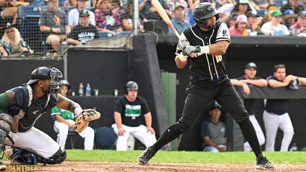 Baseball, basketball unite as Panthers join ownership group with the KW ...