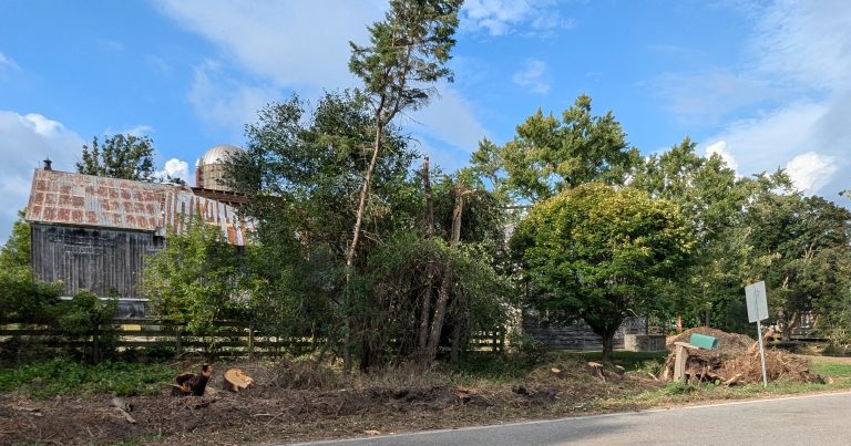 Ayr residents plea for tornado recovery assistance