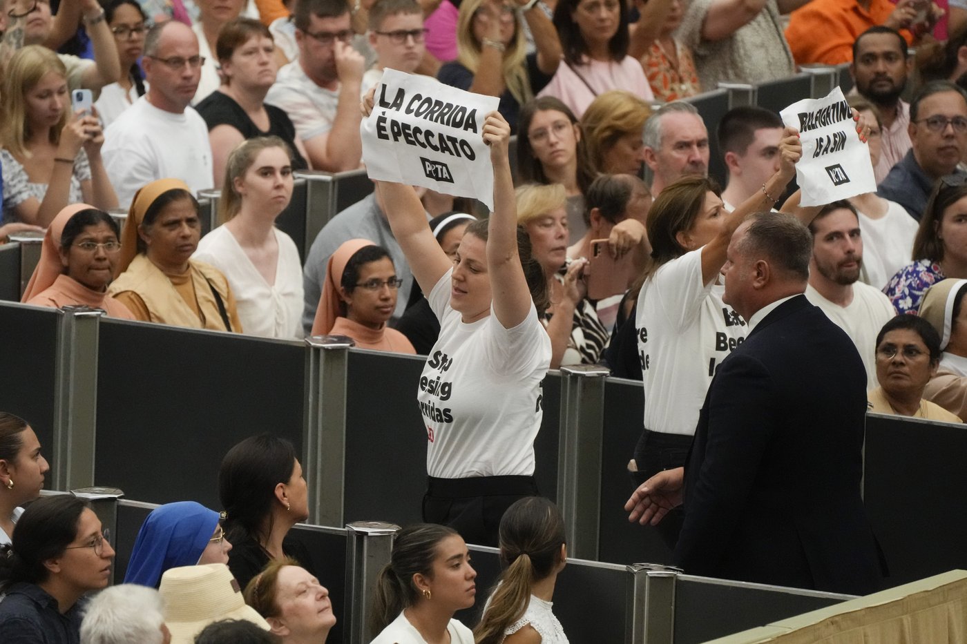 PETA protesters interrupt Pope Francis' Vatican audience, call on him ...