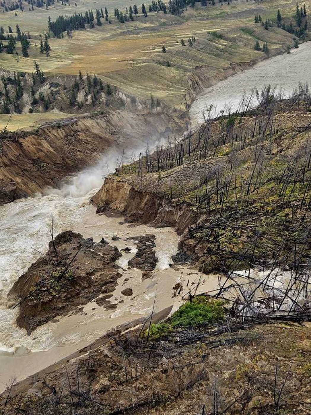 B.C. government considers 'Plan B' if salmon need help through ...