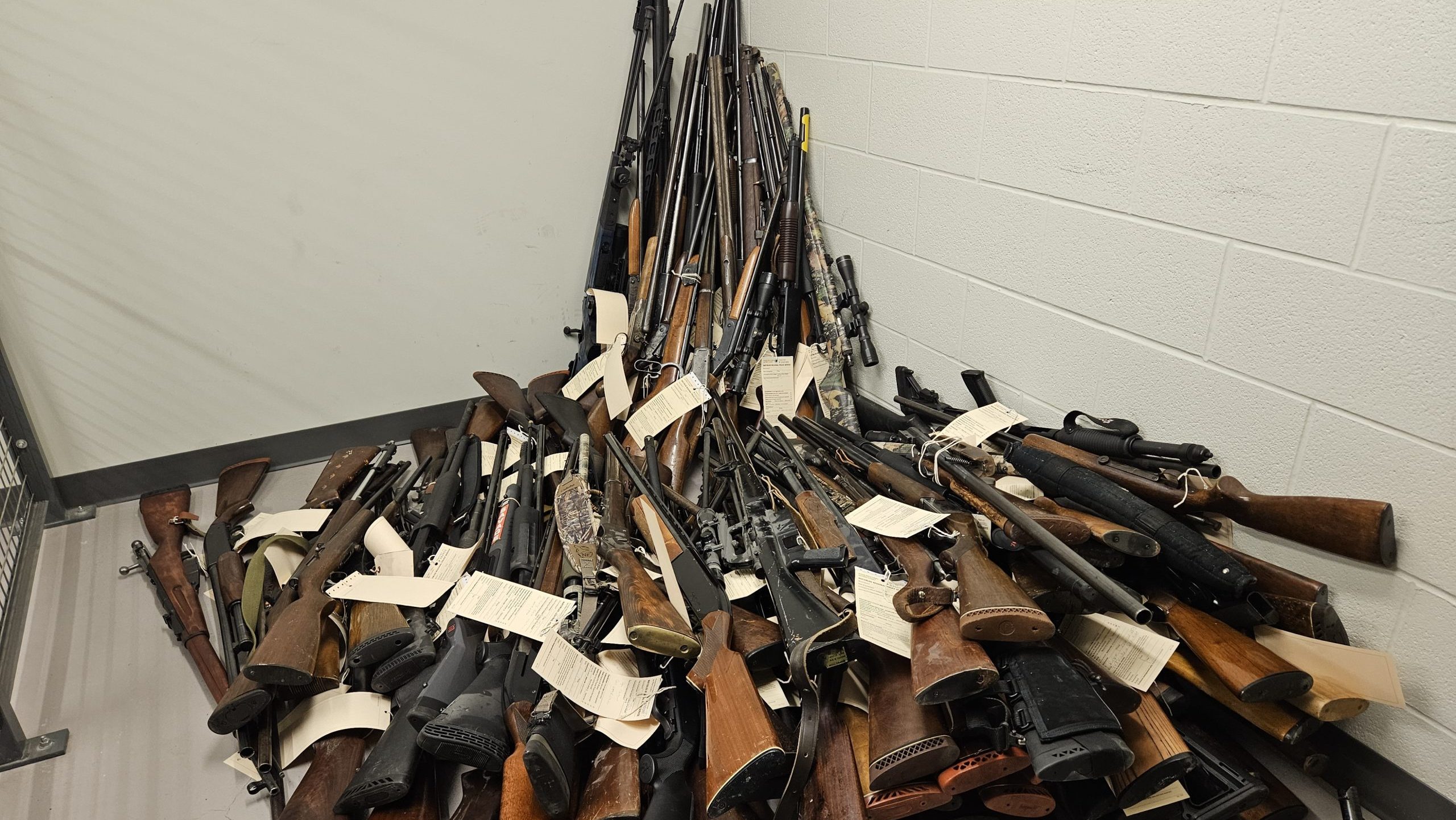 Over 200 guns seized by police from Guelph home