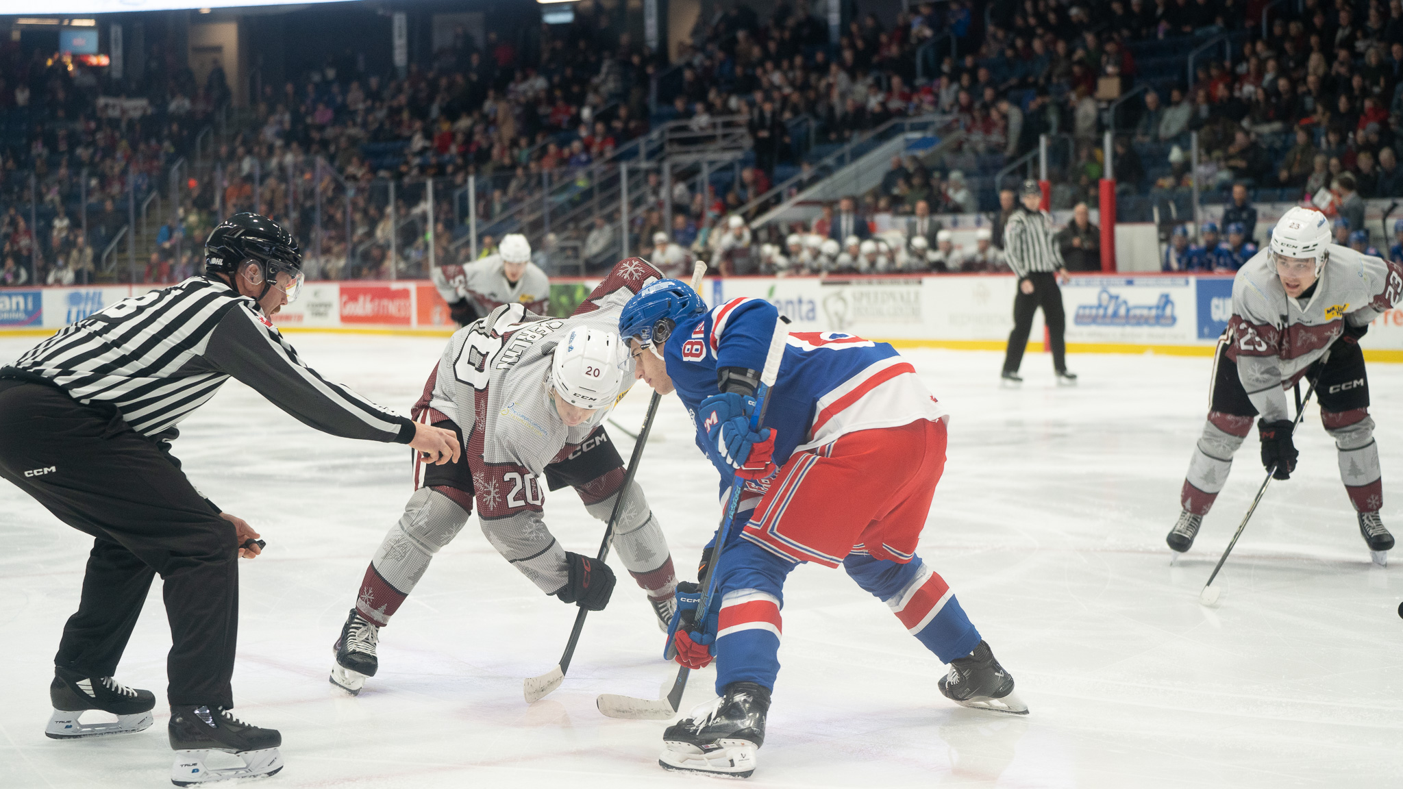 Kitchener Rangers News | CityNews Kitchener