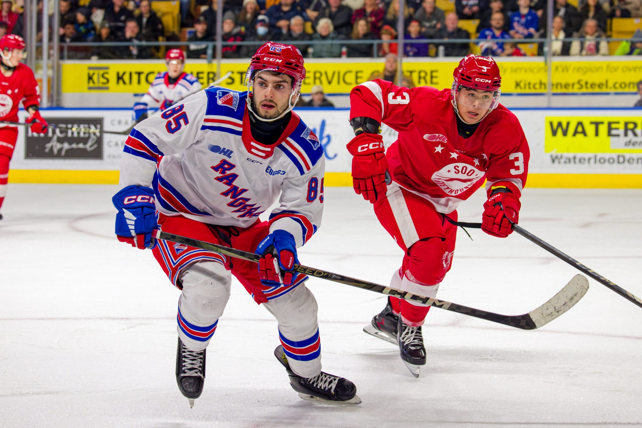 Kitchener Rangers News | CityNews Kitchener