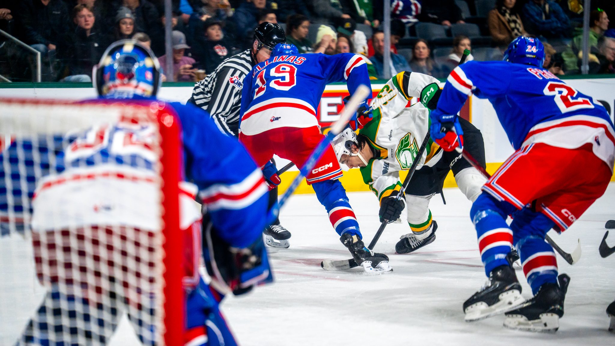 Are the Kitchener Rangers in the playoffs?