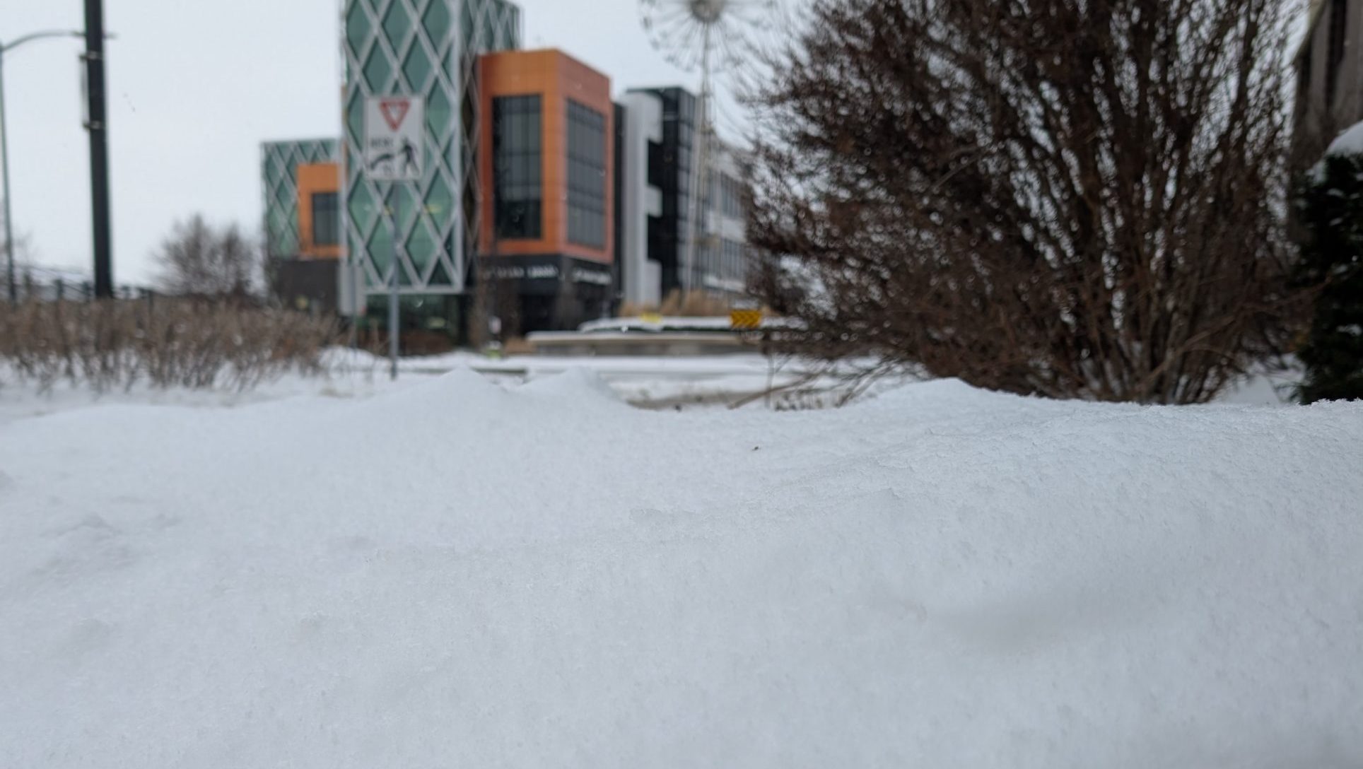 In like a lion: Will January continue to be cold and snowy?