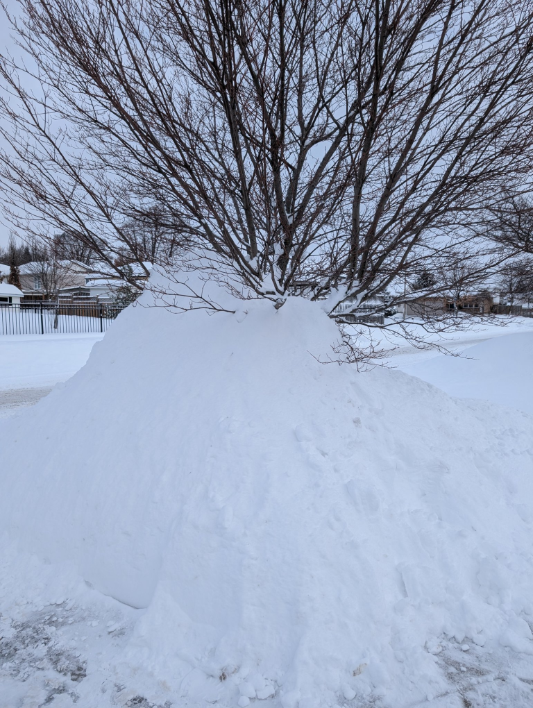 Kitchener, Waterloo weather: Winter storm recap