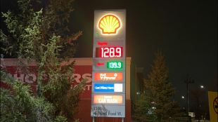 Local News | CityNews Kitchener