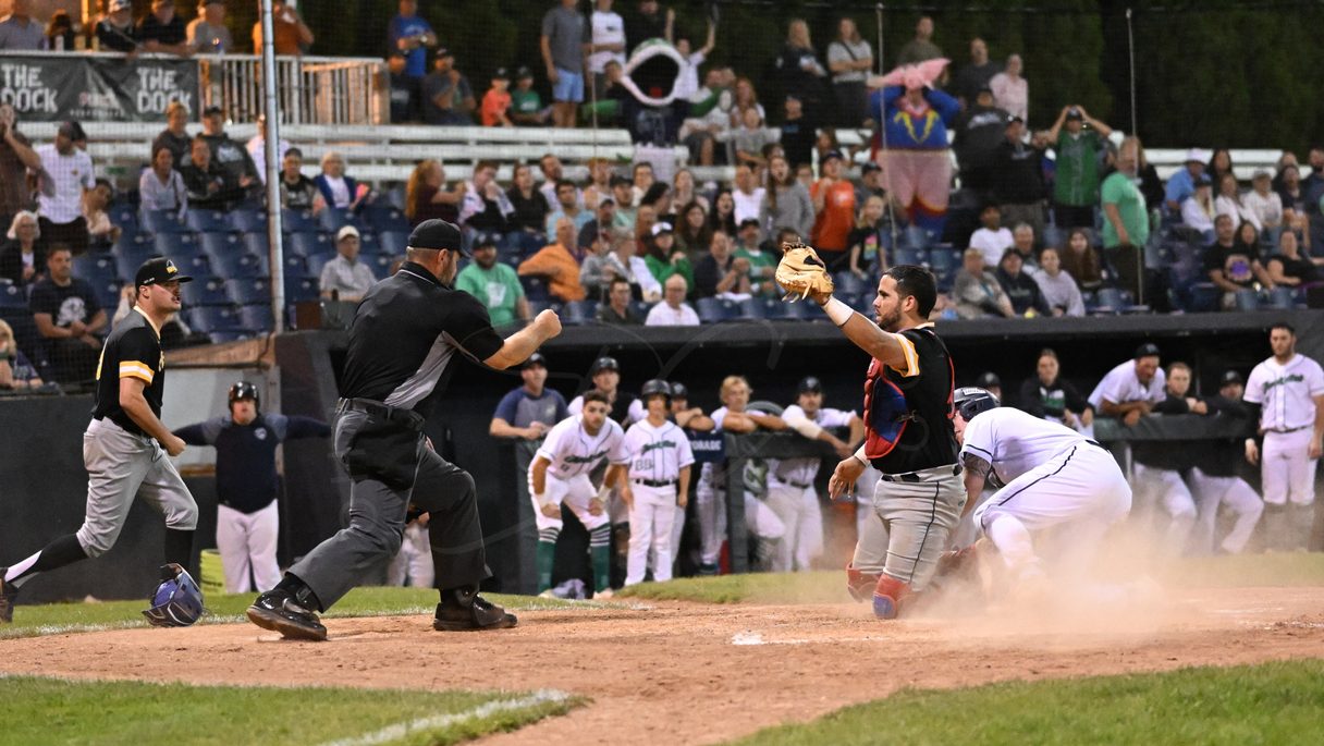 Kitchener Panthers usher in baseball to the region