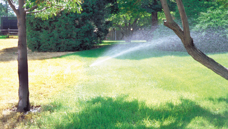 Watering your lawn? Wait for your day. Region's water conservation ...