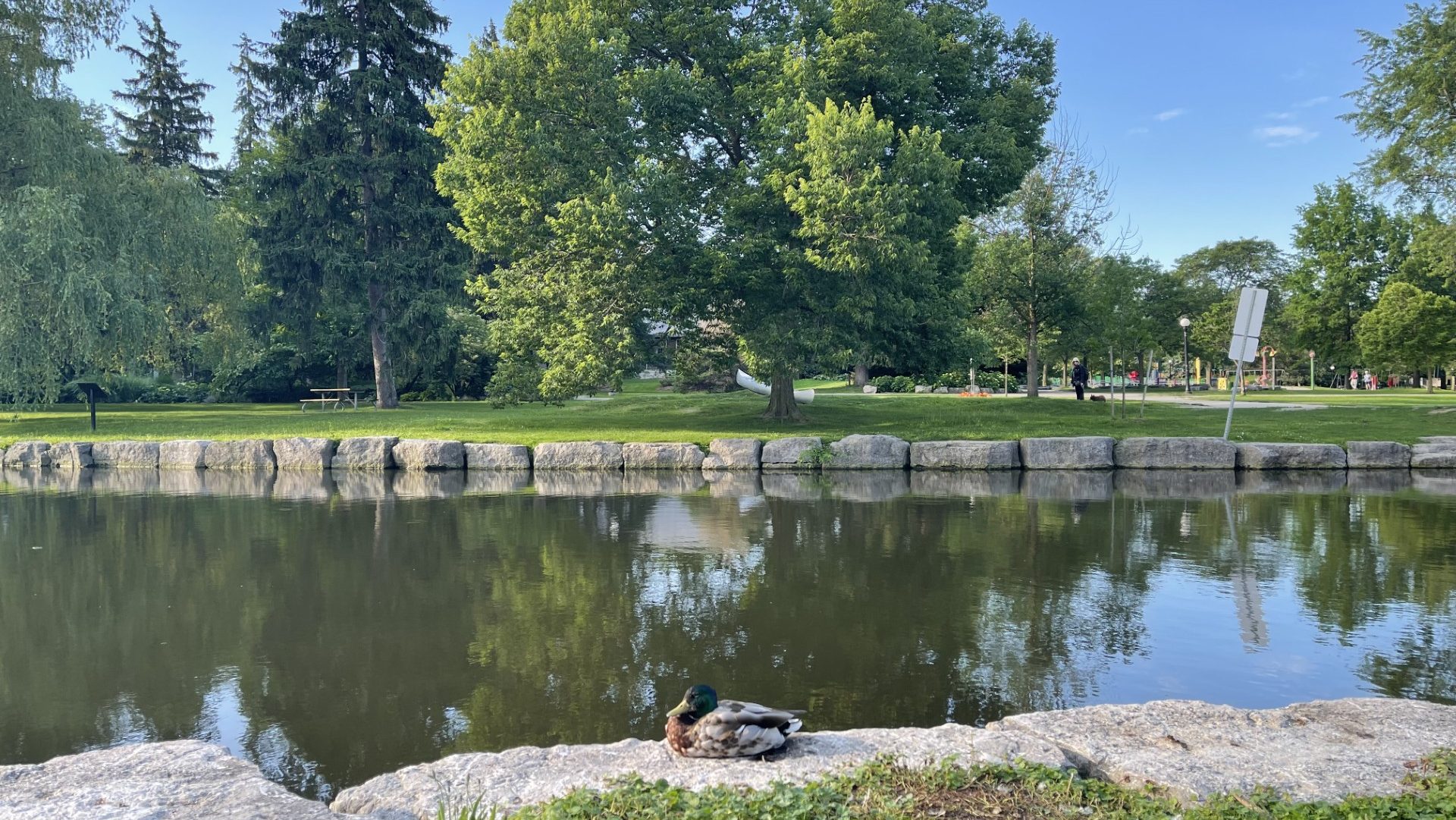 Man arrested after disturbing family in Victoria Park