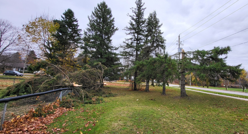 Feds grant Wellington County funds to adapt to climate change
