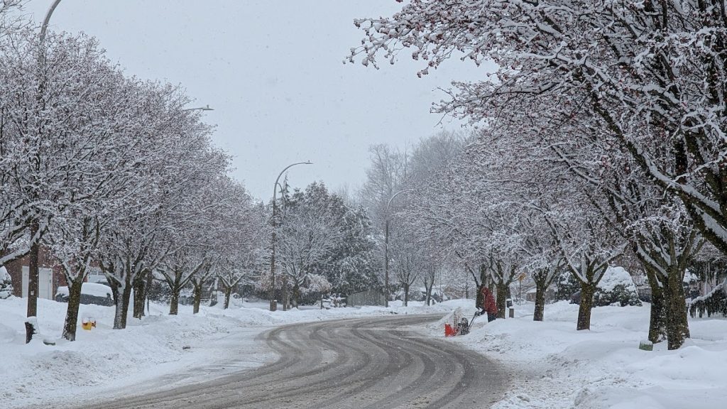 Kitchener, ON weather - CityNews Kitchener
