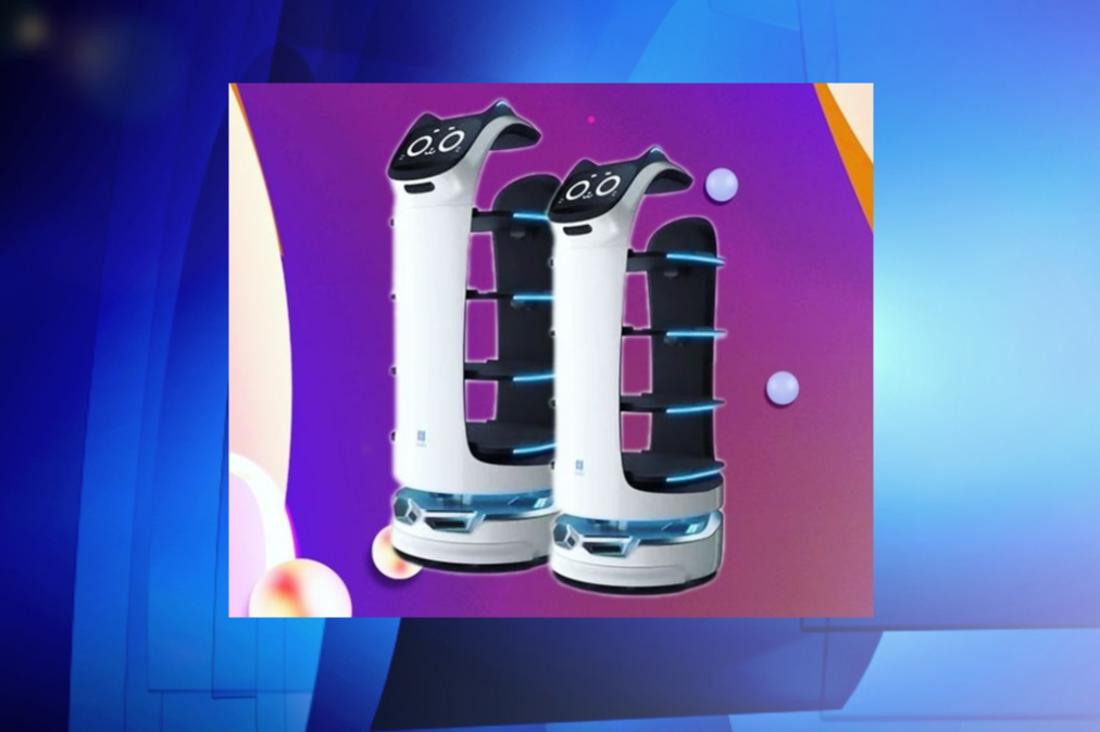 Local restaurant tackles staffing shortage with cat-themed 'Bella-Bot'