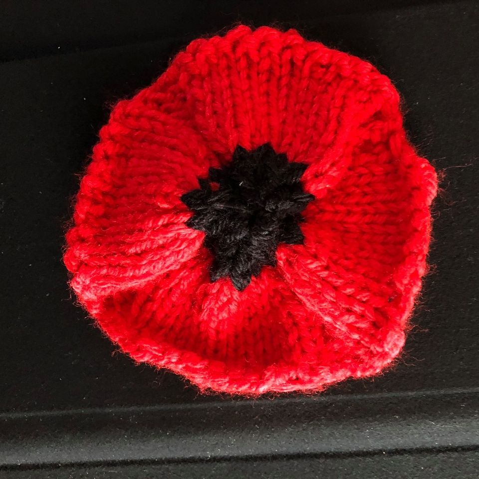 Poppy Project coming to Cambridge