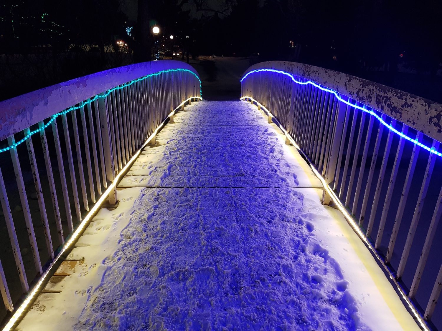 Kitchener launches 'Reimagine Winter' campaign | CityNews Kitchener