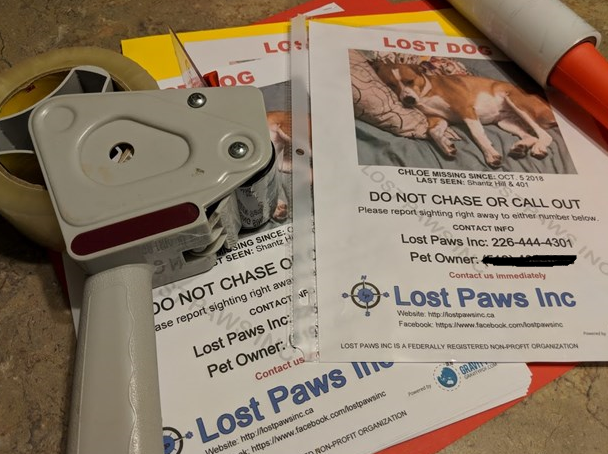 Lost Paws Inc. helps lost pets find their way home