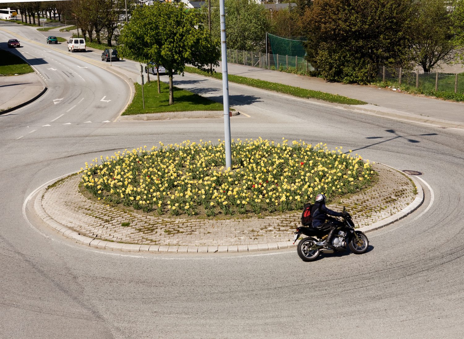 Dutch-inspired roundabout could make its way to Kitchener