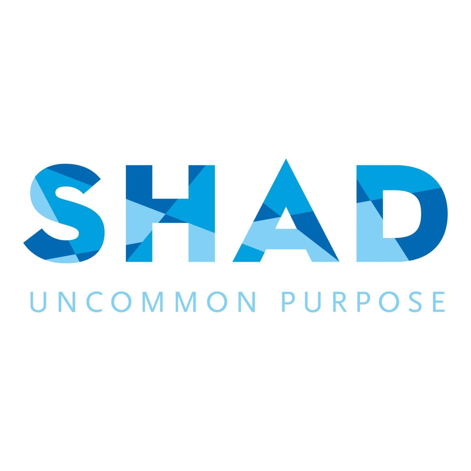 SHAD students get the chance to tackle the world's biggest problems